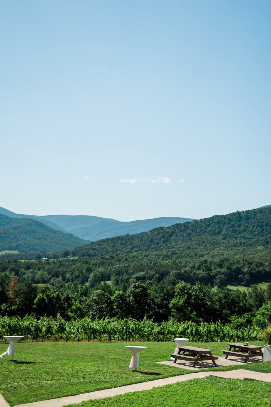 A Summer Charlottesville Vineyard Wedding - Kara Leigh Creative