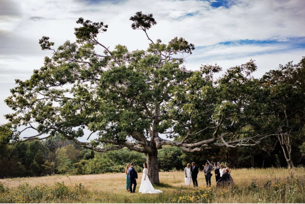 Best Skyline Drive Overlooks for Engagement Photos - Kara Leigh Creative