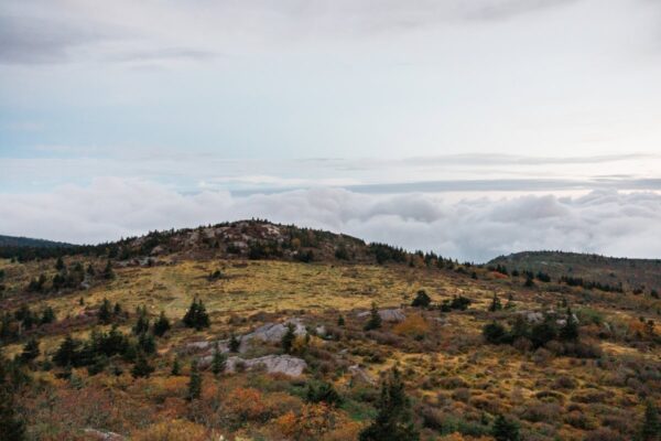 Grayson Highlands Elopement Guide - Kara Leigh Creative